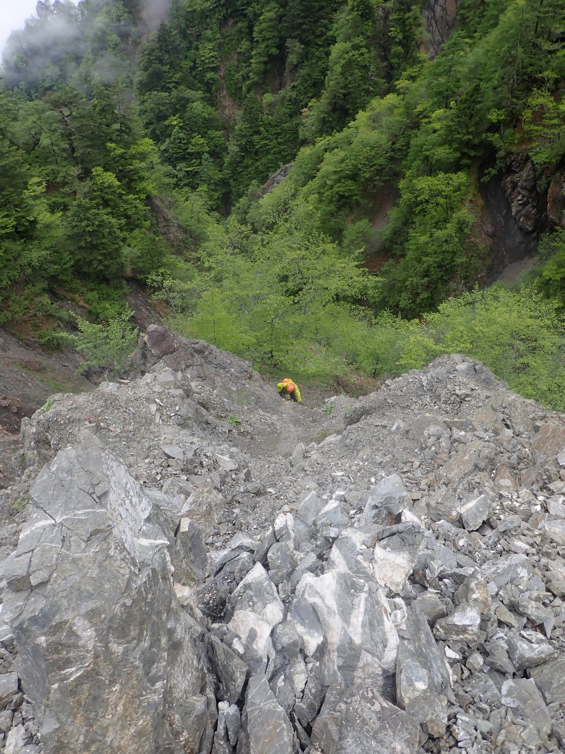 身延 大春木沢遡行 2021/5/22 | ぶなの会